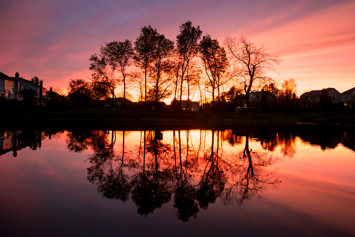 Painting with Light: The Art of Sunrise and Sunset Photography ...